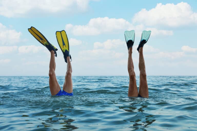 Swim with Flippers and Master Aquatic Adventures