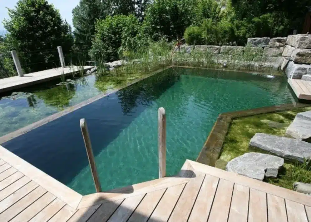 Design a Custom Swimming Pond for Refreshing Dive