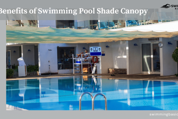 Swimming Basics - Your Ultimate Guide to Swimming Mastery!